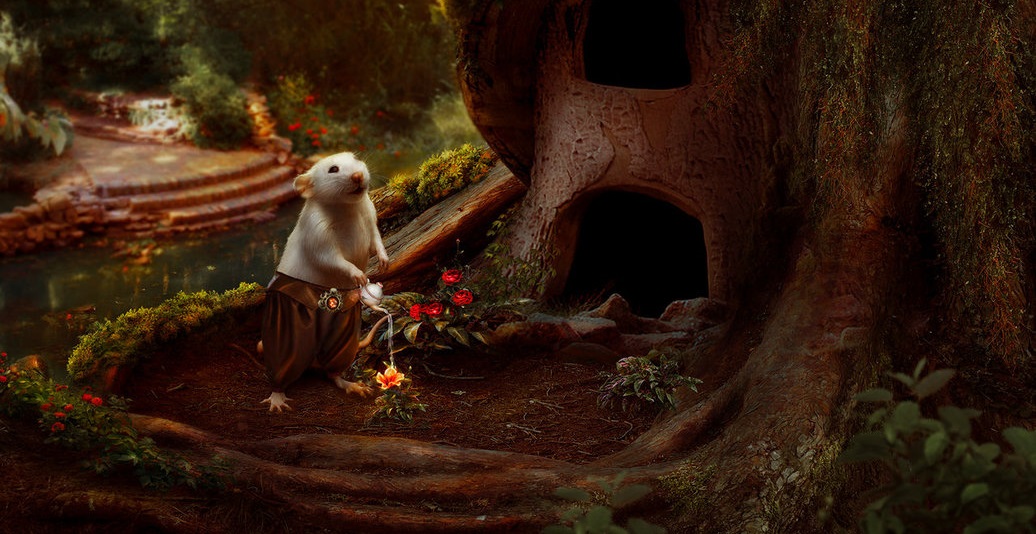 Software Gardening: Beyond Craftsmanship | How To Train Your Java